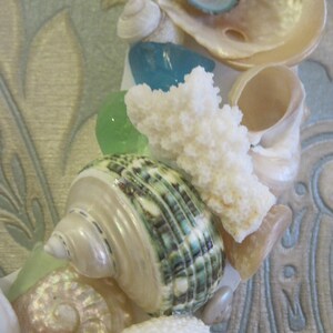 Beach Decor Seashell Letter "d" - Soft Tropical Colored Shell Letter ...