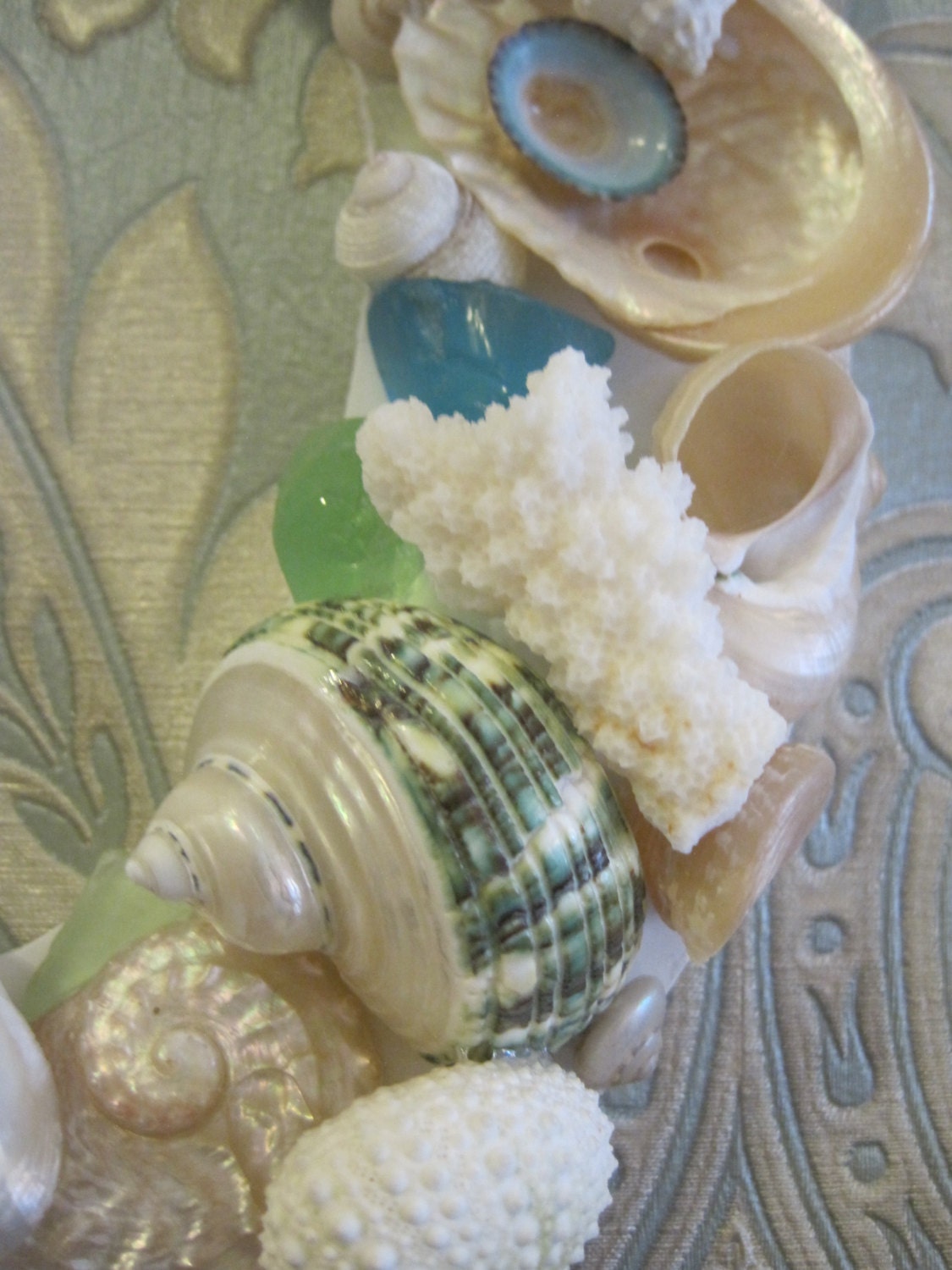 Beach Decor Seashell Letter "d" - Soft Tropical Colored Shell Letter ...