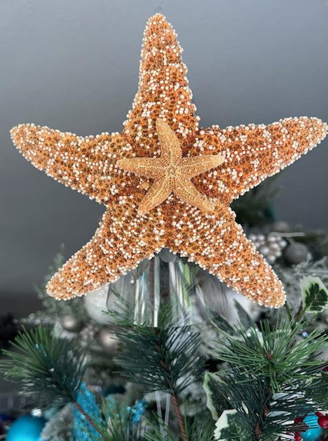 Beach Decor Starfish Tree Topper - Real Sugar Starfish Christmas Tree ...