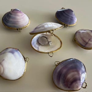 Shell Box - Seashell Ring Box /pill/coin Purse - Purple Clam Ring Box ...