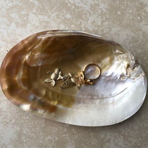 Handmade FW Clam Jewelry Dish Shell Soap Dish Catchall Shell Dish ...
