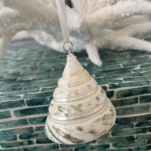 Beach Christmas Real Shell Ornament - Spiral Green & White Trocha ...