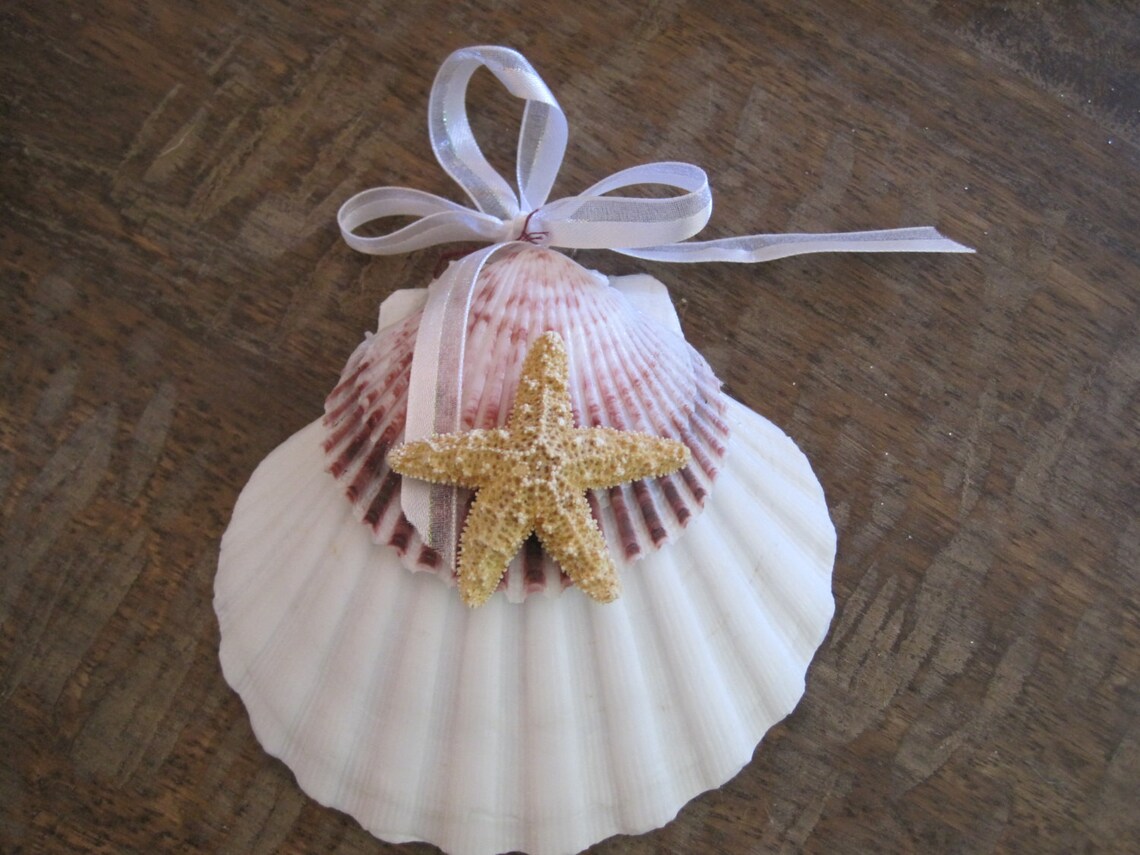 Beach Decor Irish Deep and Pectin Shell Ornament Shell | Etsy