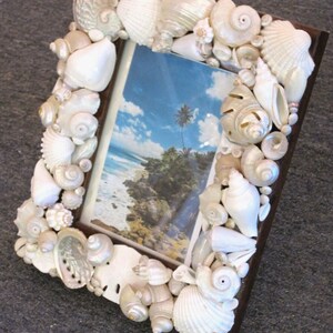 Beach Decor White Seashell Picture Frame - Shell Frame - White Shell ...