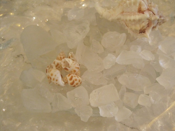 Seaglass Clear Seaglass Sea Glass Clear Sea Glass | Etsy