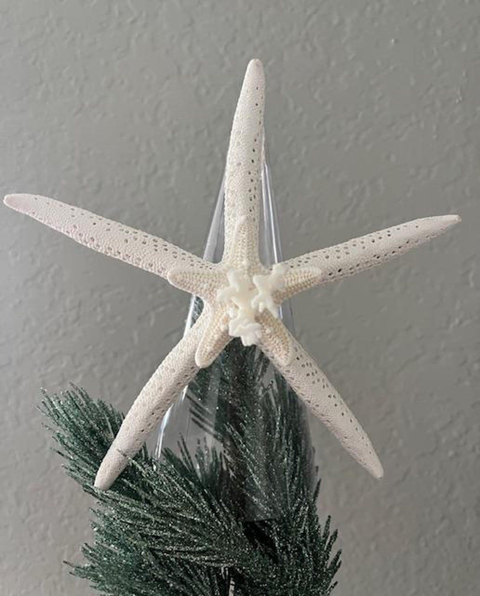 Real Starfish & Coral Tree Topper - Double Starfish Christmas Tree ...
