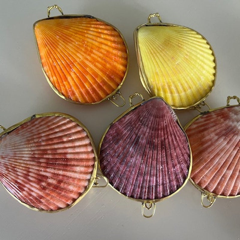 Seashell Box - Etsy