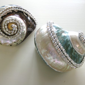 Embellished Polished Green Banded Snail Shell With Swarovski Crystals ...