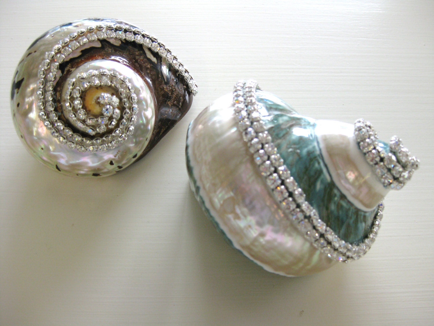 Embellished Polished Green Banded Snail Shell With Swarovski - Etsy ...