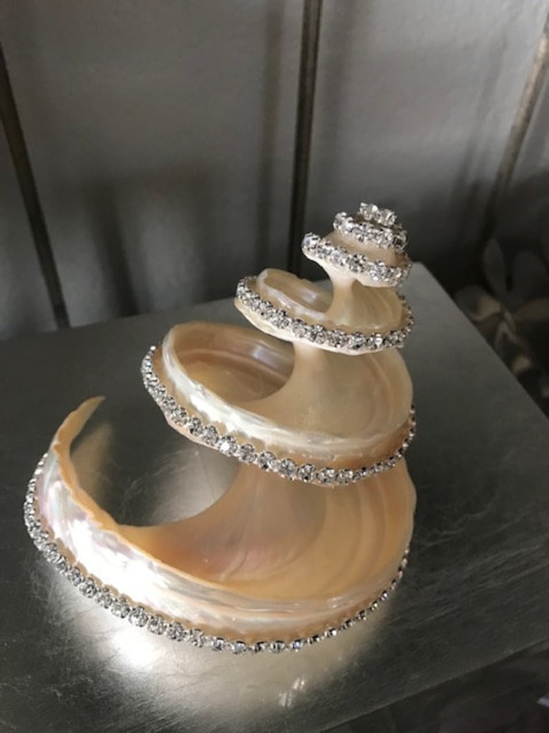Embellished Spiral Polished Wavy Top Trochus Shell With - Etsy