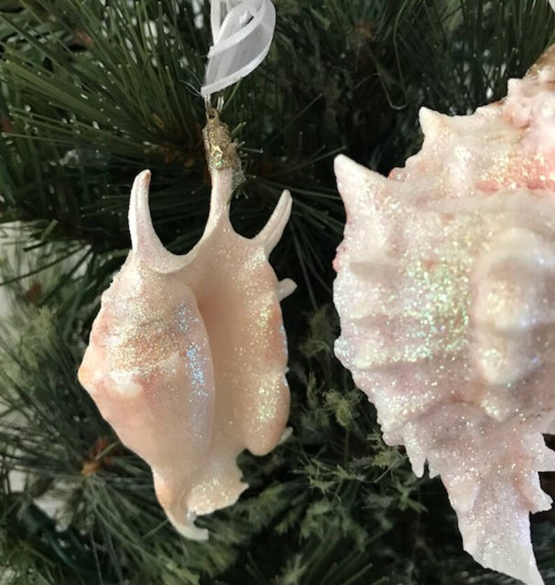 Beach Decor Christmas Seashell Ornament Set 3PC Seashell | Etsy