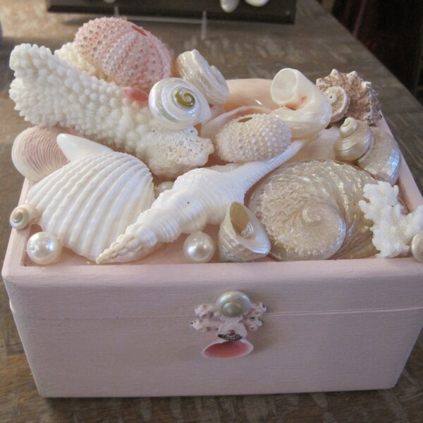 Seashell Jewelry Box - Etsy
