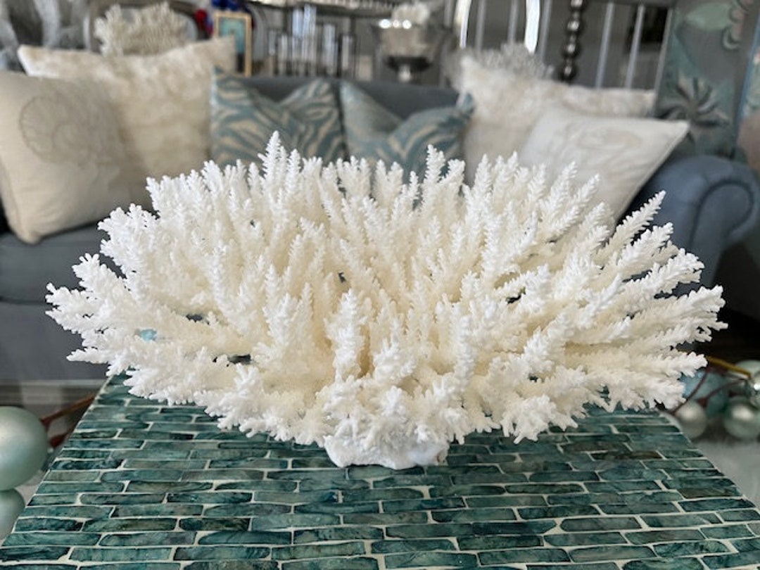 Beach Decor Table Coral Coral Seashells Beach Decor Coastal Home Decor ...