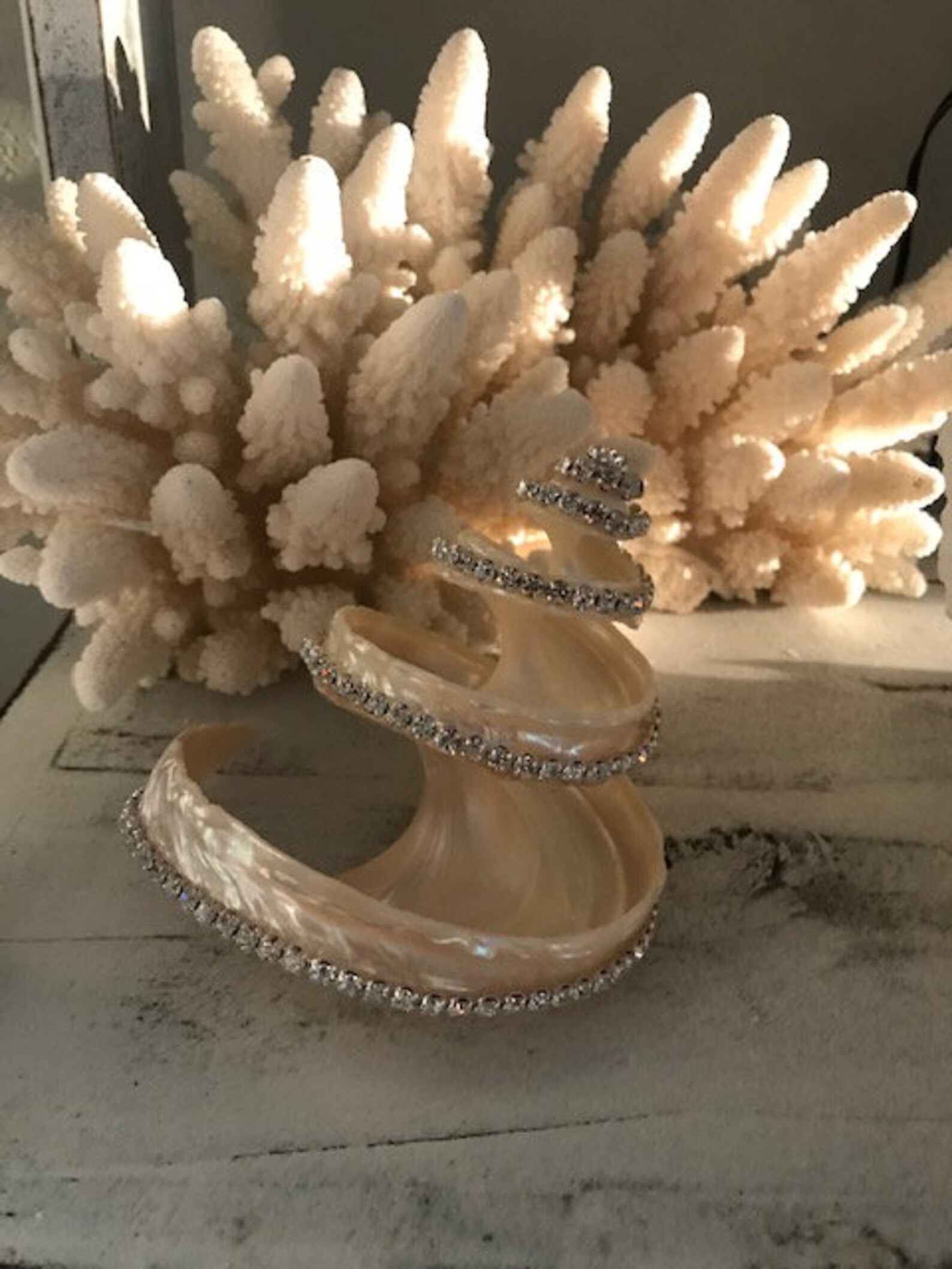 Embellished Spiral Polished Wavy Top Trochus Shell With - Etsy