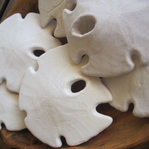 Beach Decor Keyhole Sand Dollar (1) - Sand Dollar - Coastal Home Decor ...