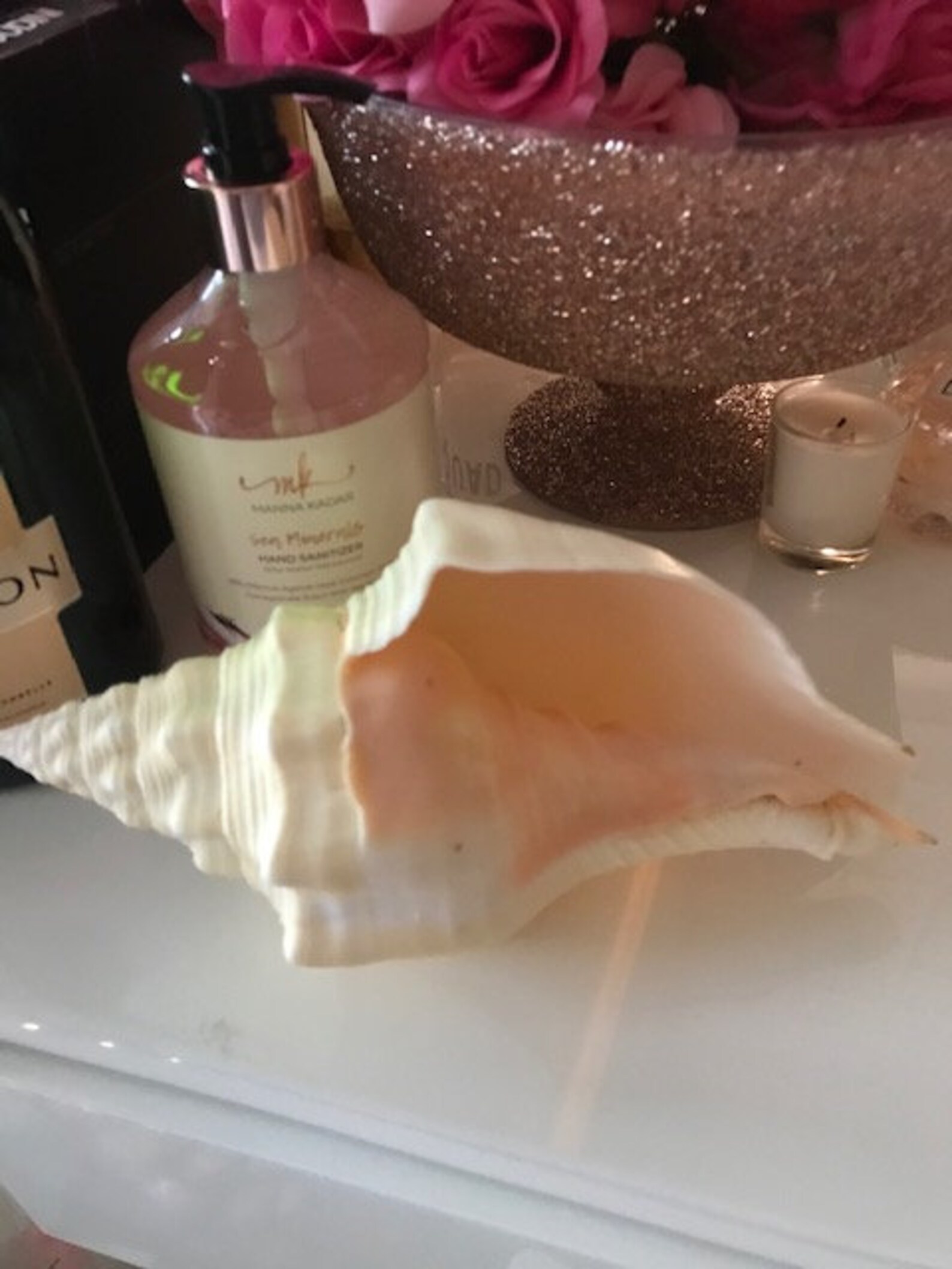 Beach Decor Chank Shell Large Chank Shell Coastal Home | Etsy