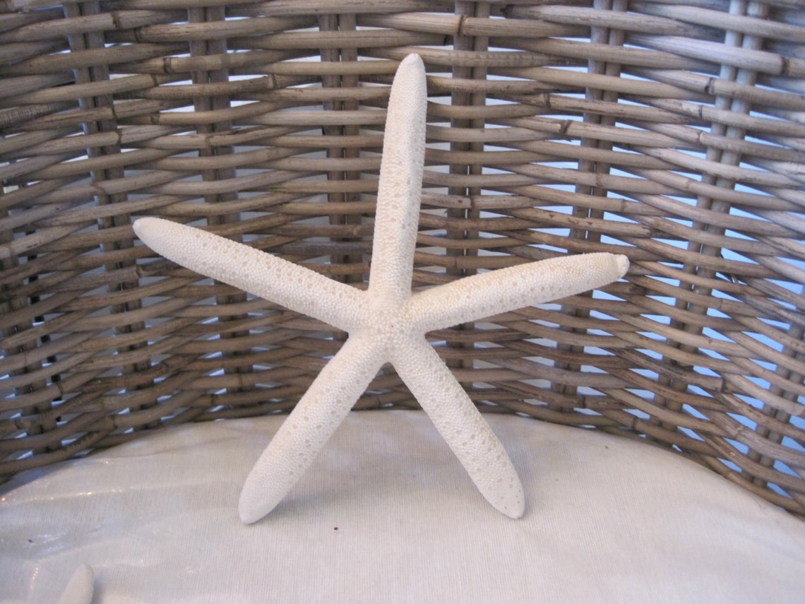Xlarge Starfish White Starfish Beach Decor Giant Sea - Etsy