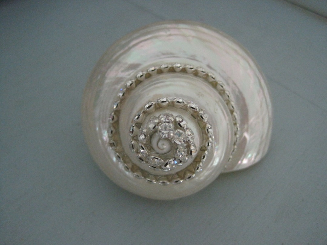 Embellished Polished Snail Shell With Swarovski Crystals - Coastal Home ...
