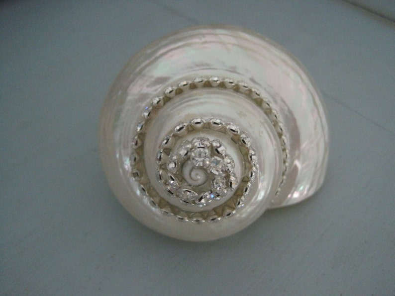 Embellished Polished Snail Shell With Swarovski Crystals - Etsy