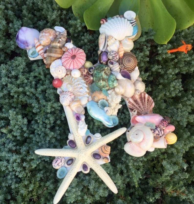 Beach Decor Shell Letter m Colorful Shell - Etsy