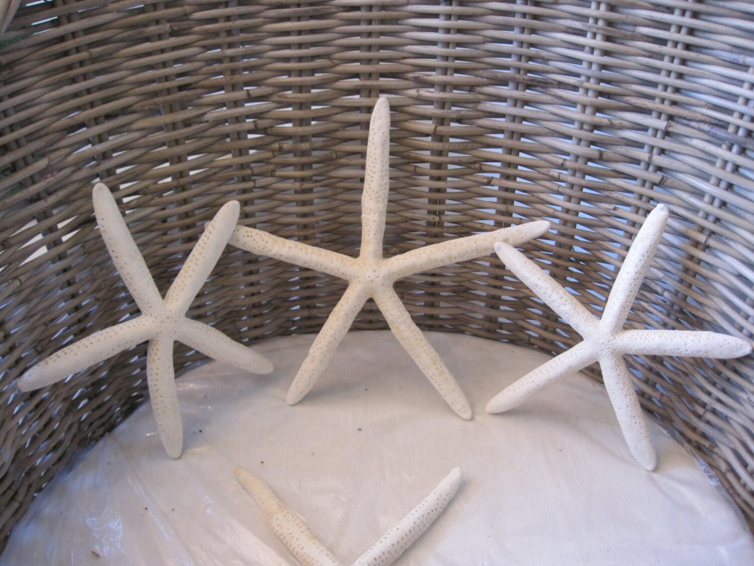 Xlarge Starfish White Starfish Beach Decor Giant Sea - Etsy