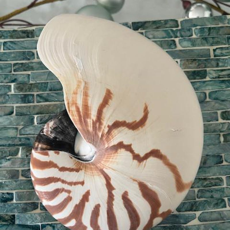 LiveCoastal - Etsy UK