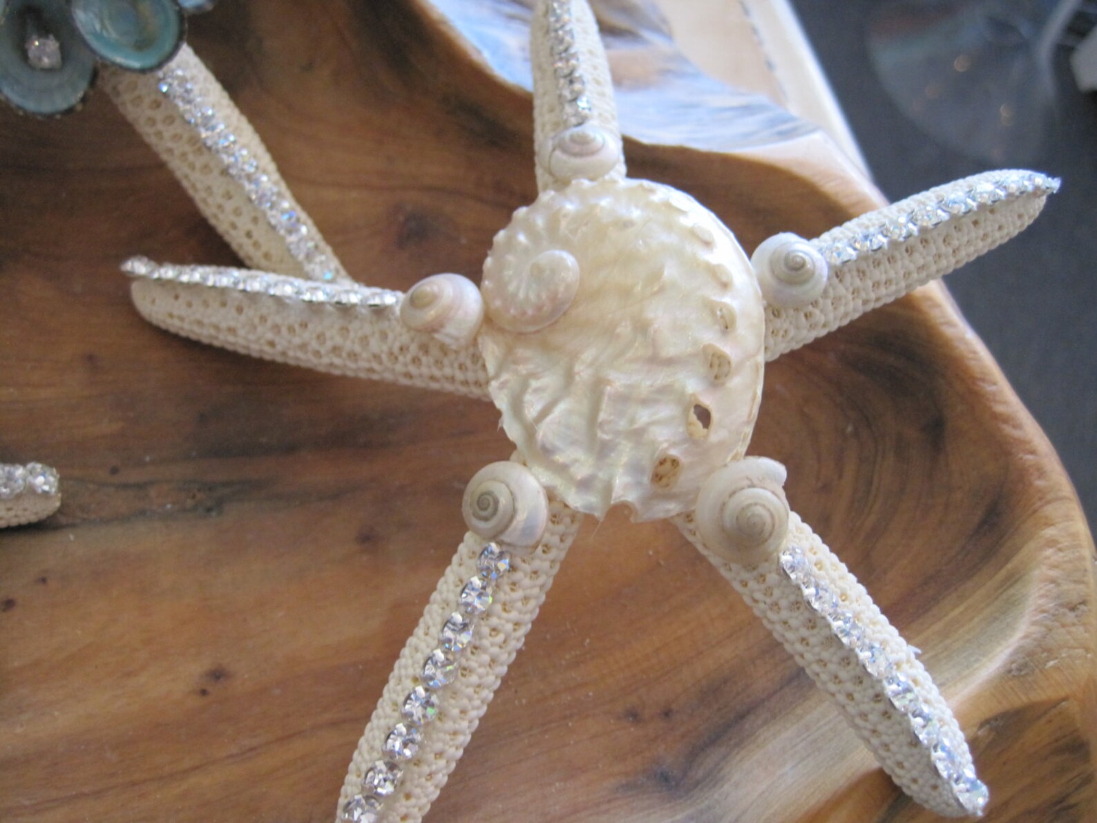 Beach Decor Wedding Favor Starfish Decorated Starfish with | Etsy