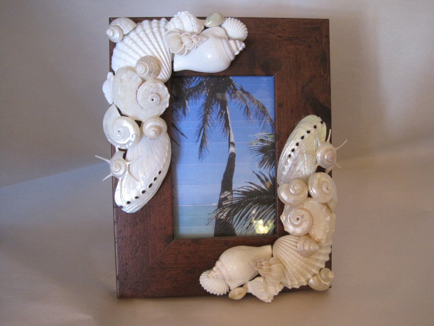 Beach Decor Seashell Picture Frame Shell Frame White Shell - Etsy