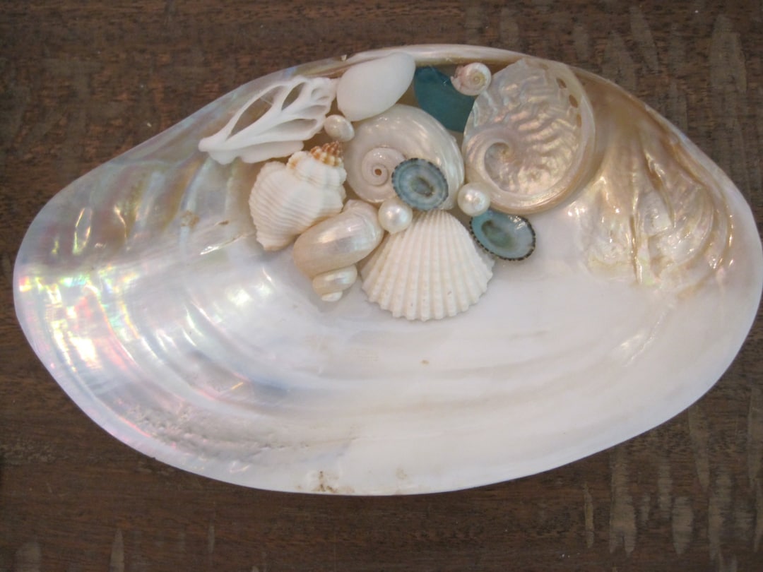 Handmade Mother of Pearl Clam Soap Dish With Shells Soap Dish With ...