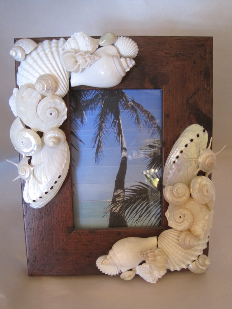 Beach Decor Seashell Picture Frame Shell Frame White Shell - Etsy