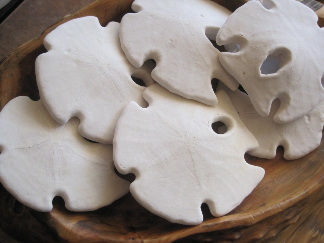 Beach Decor Keyhole Sand Dollar (1) - Sand Dollar - Coastal Home Decor ...