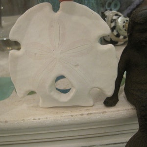 Beach Decor Keyhole Sand Dollar (1) - Sand Dollar - Coastal Home Decor ...