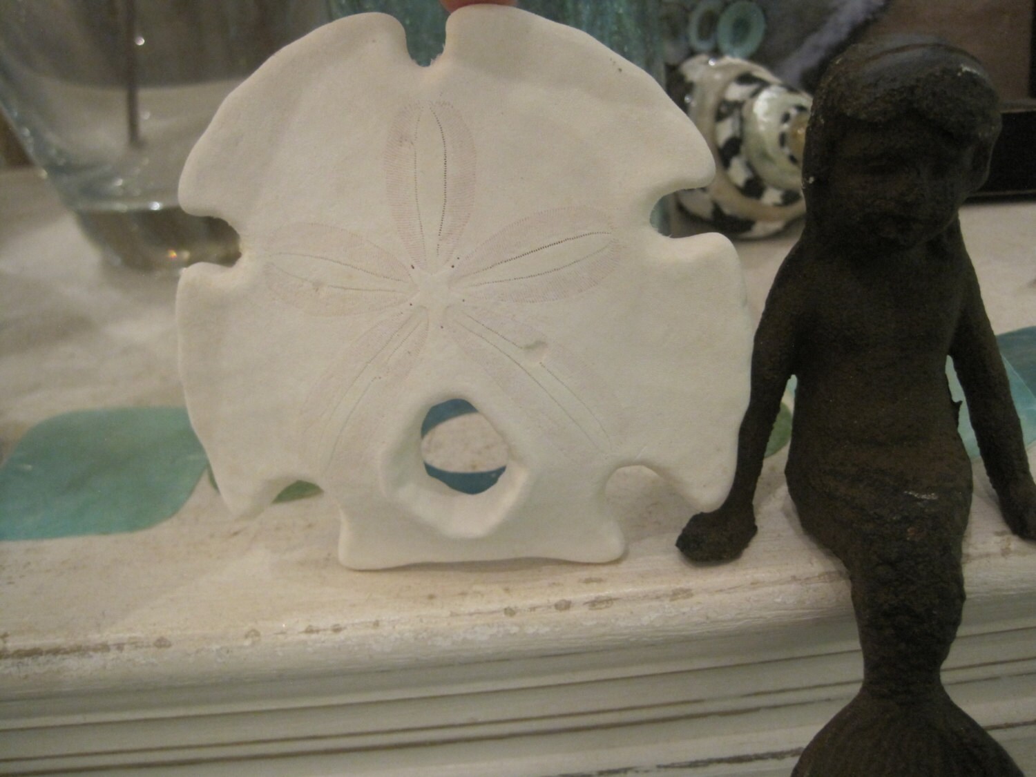 Beach Decor Keyhole Sand Dollar 1 Sand Dollar Coastal - Etsy