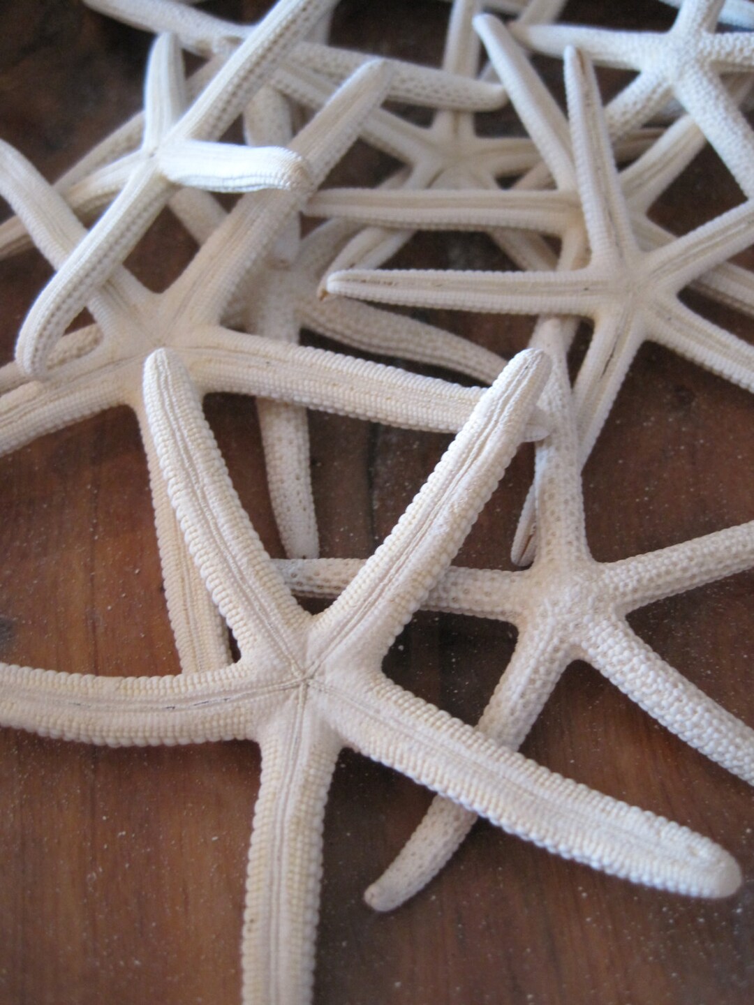 Mini White Starfish (12 PC) - 2 1/2" to 4" Starfish - Seashells ...
