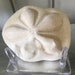 Beach Decor Seashell Stand - Large and Small Display Stands - Shell ...