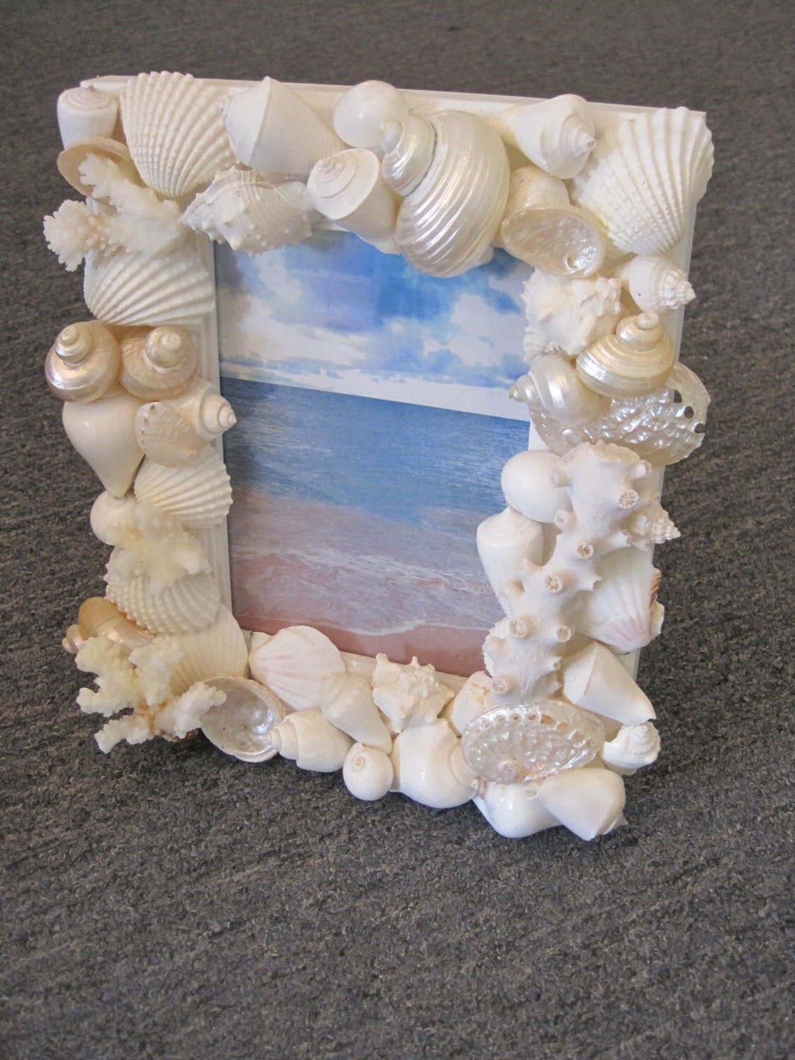 Beach Decor Seashell Picture Frame Shell Frame White - Etsy