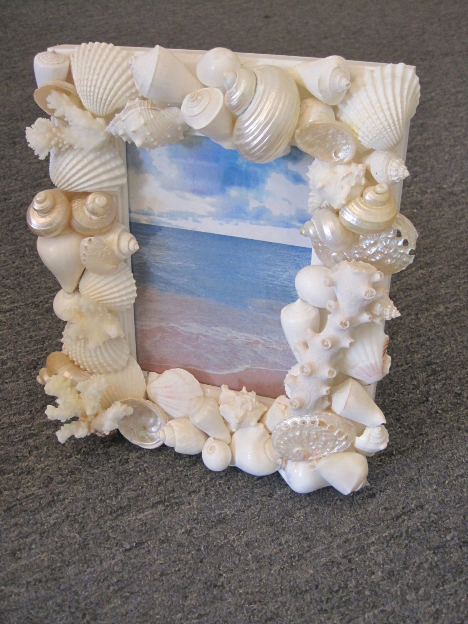 Beach Decor Seashell Picture Frame Shell Frame White - Etsy