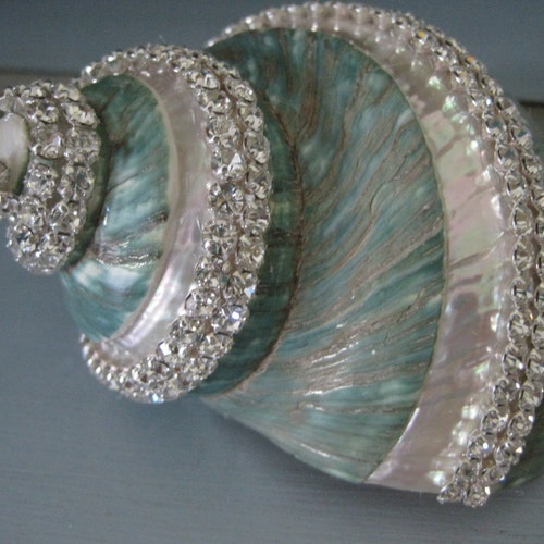 Embellished Polished Green Banded Snail Shell With Swarovski - Etsy