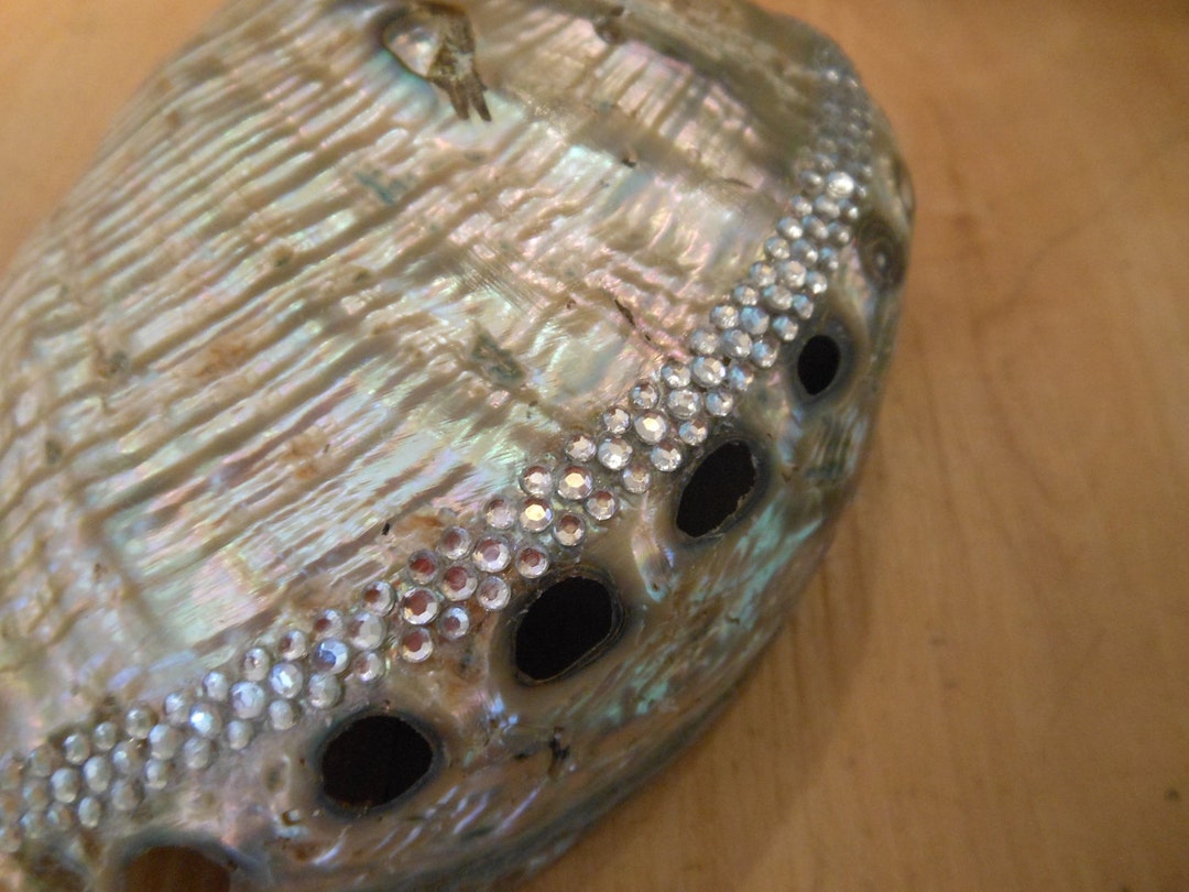 Beach Decor Embellished Abalone Shell Swarovski Crystal Embellished ...