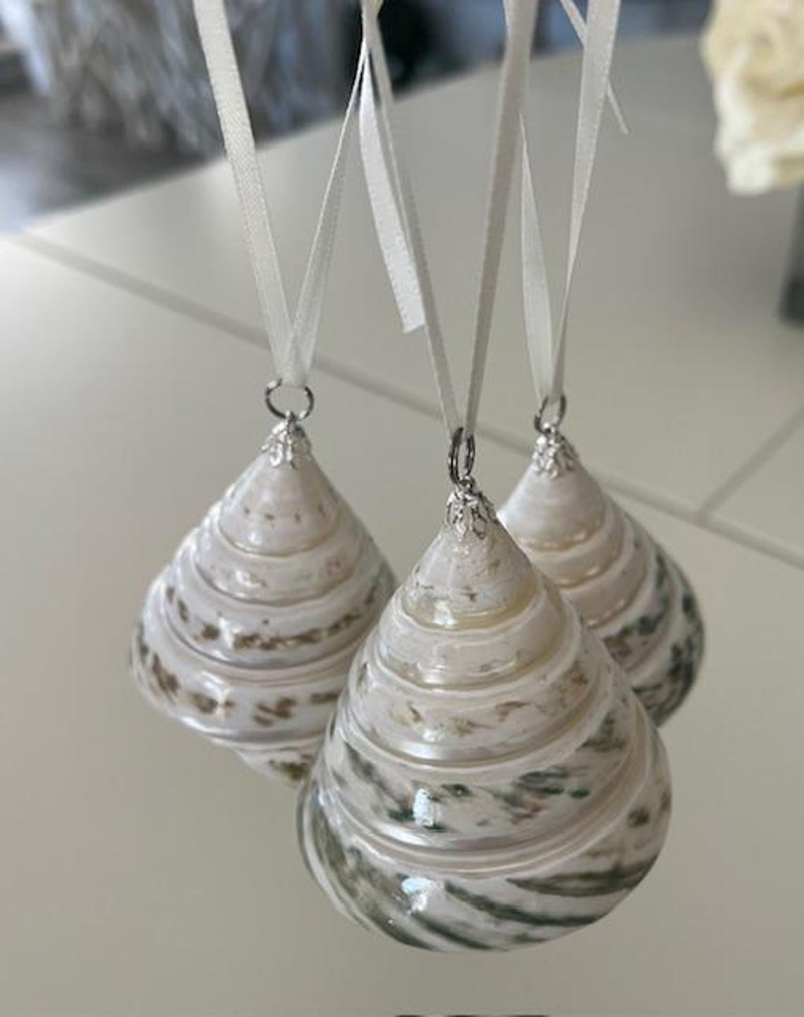 Beach Christmas Real Shell Ornament - Spiral Green & White Trocha ...
