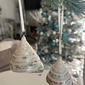 Beach Christmas Real Shell Ornament - Spiral Green & White Trocha ...