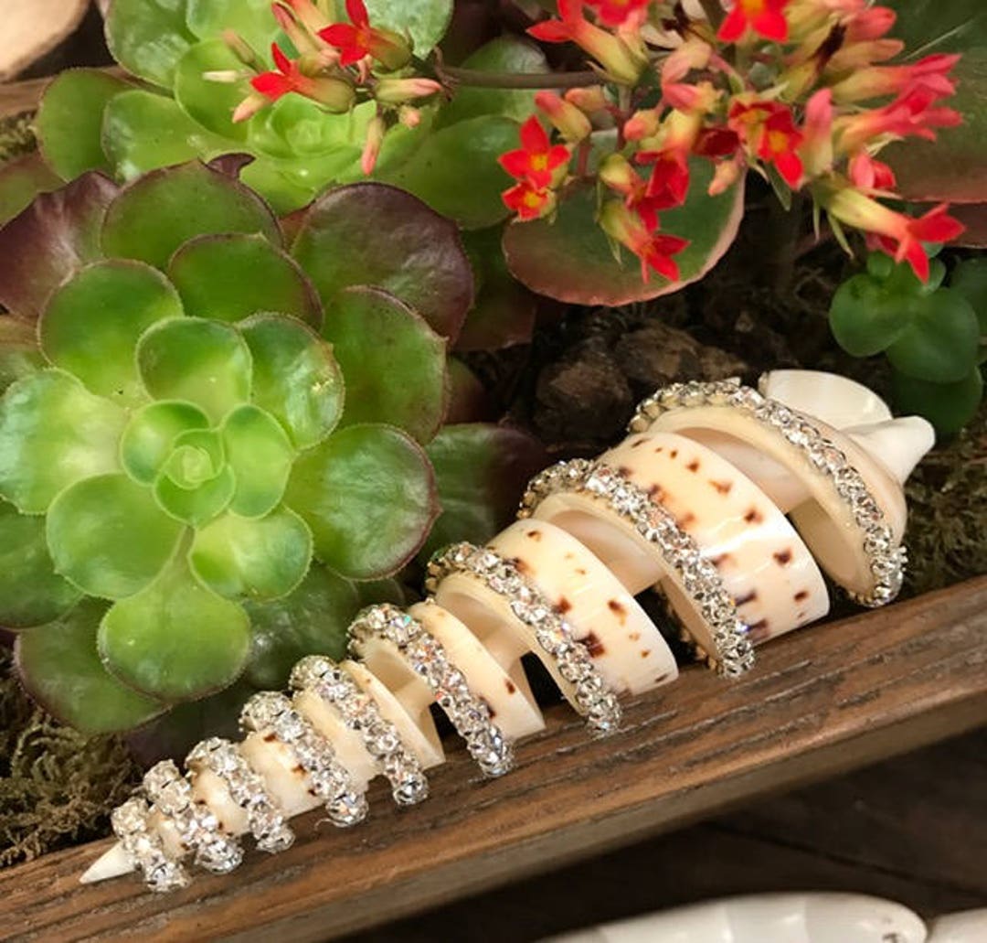 Embellished Spiral Cut Terebra Shell With Swarovski Crystals - Coastal ...