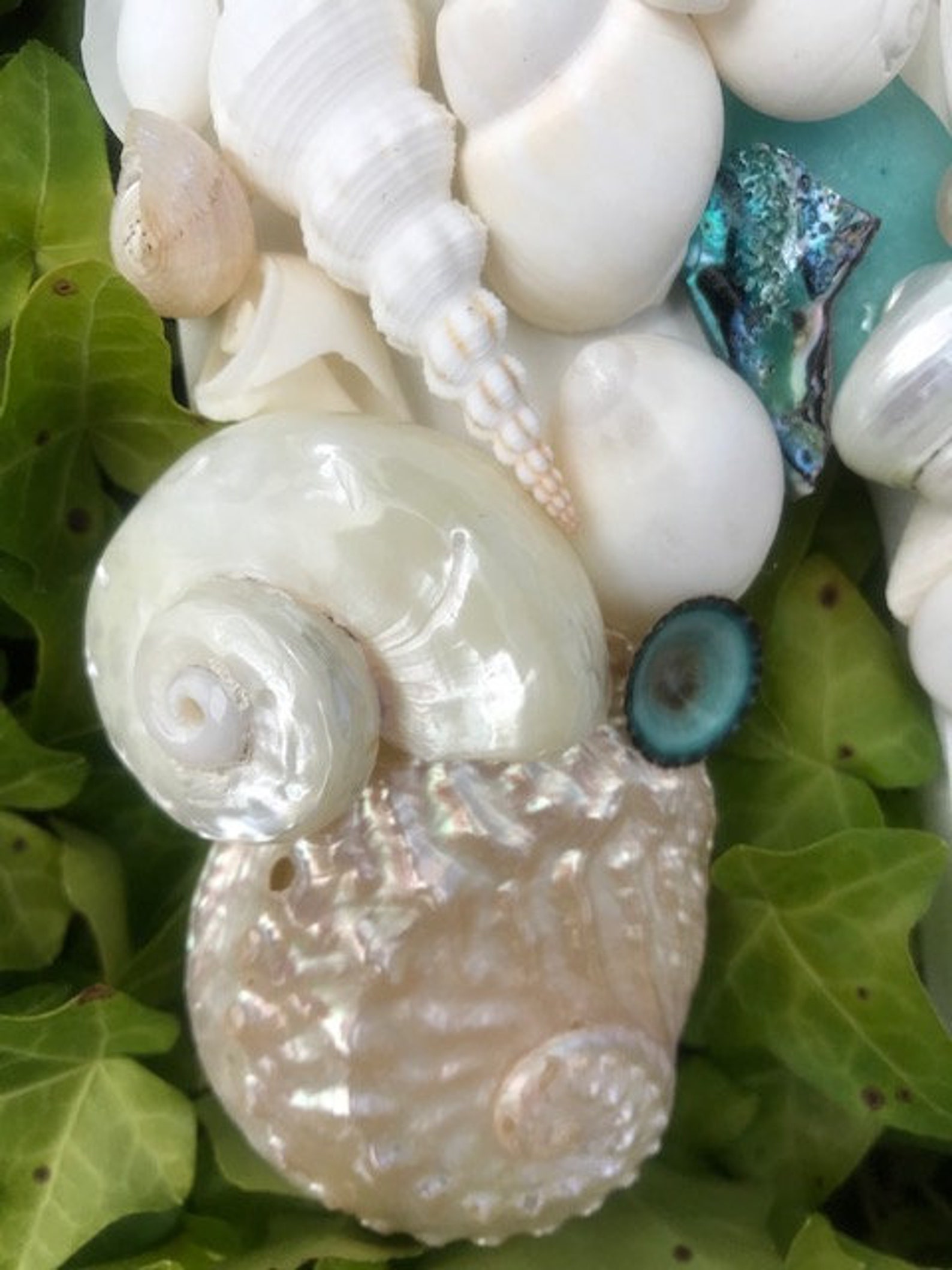 Beach Decor Seashell Letter Blue and White Soft Tropical - Etsy