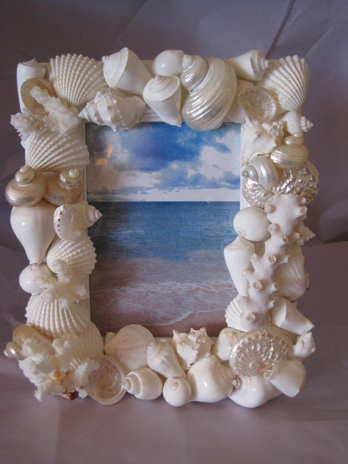 Beach Decor Seashell Picture Frame Shell Frame White - Etsy