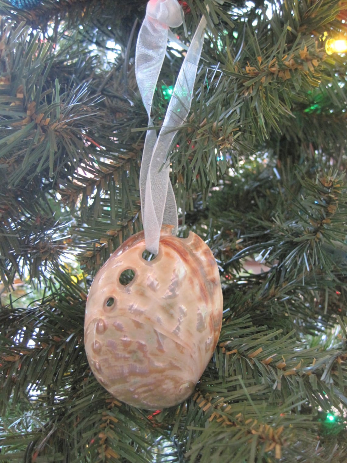 Beach Decor Christmas Seashell Ornament Set 4PC Seashell - Etsy