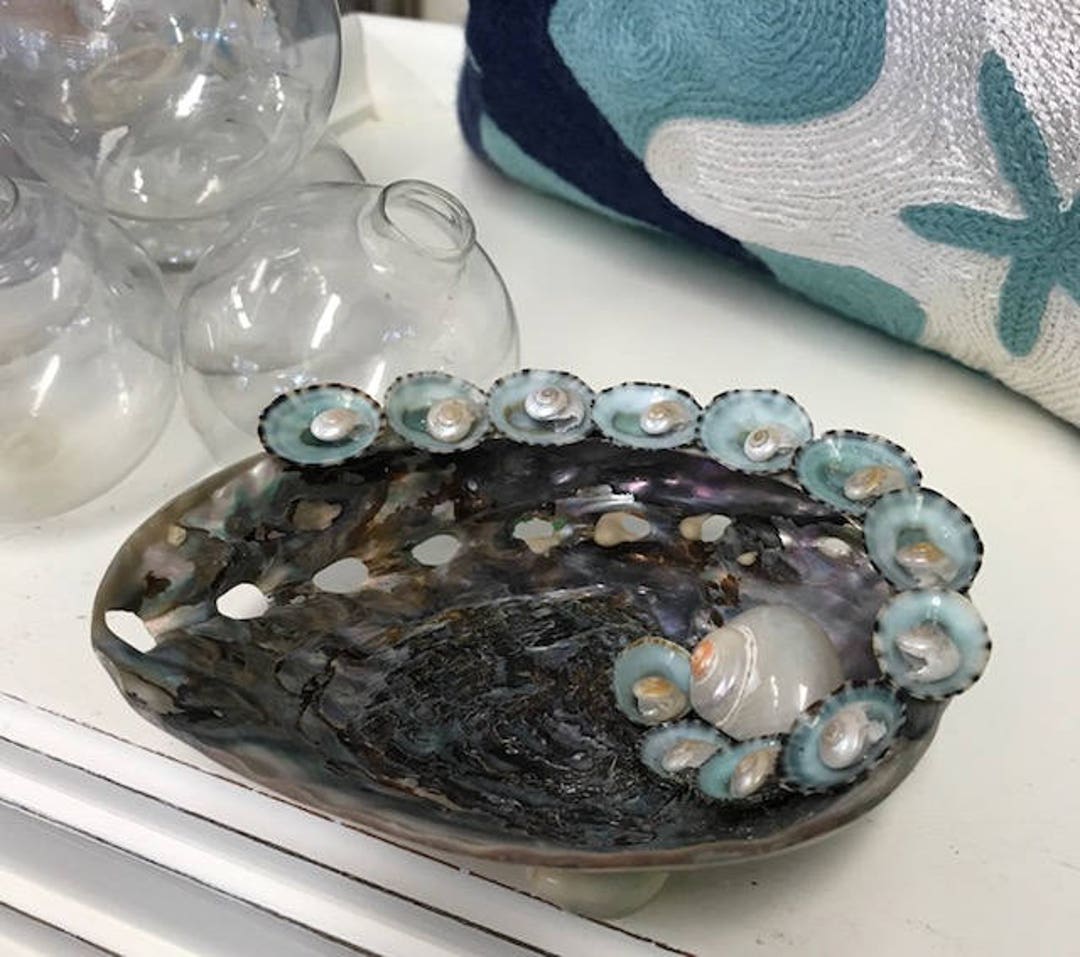 Handmade Beach Decor Abalone Dish With Limpet Shells - Jewelry Dish ...