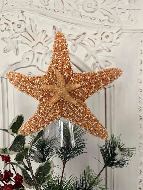 Beach Decor Starfish Tree Topper - Real Sugar Starfish Christmas Tree ...
