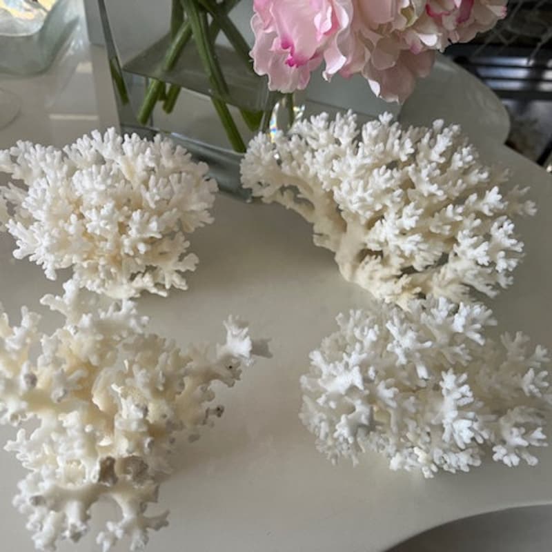 Coral Centerpiece - Etsy