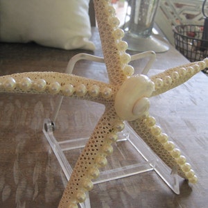 Beach Decor Starfish - Embellished Starfish With Pearls and Shells ...
