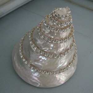 Embellished Polished Trochus Shell With Swarovski Crystals - Coastal ...